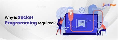 What Is Socket Programming In Python Explained With Example