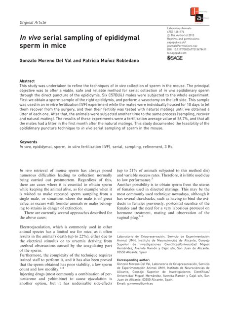 Pdf In Vivo Serial Sampling Of Epididymal Sperm In Mice