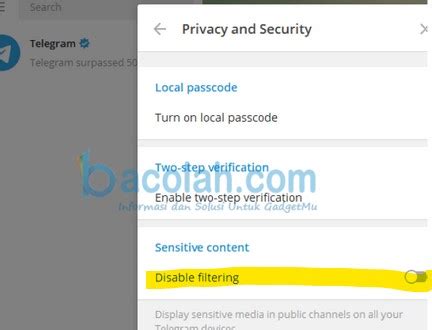 Cara Mengatasi This Channel Cannot Be Displayed Di Telegram Bacolah