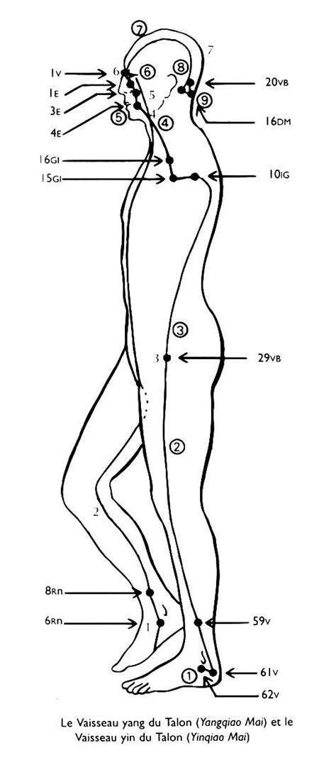 Meridian Chart Holistic Healing Qigong Body Treatments