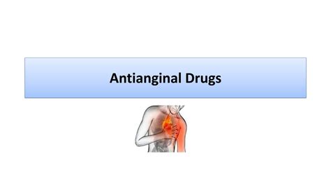 Solution Antianginal Drugs Studypool