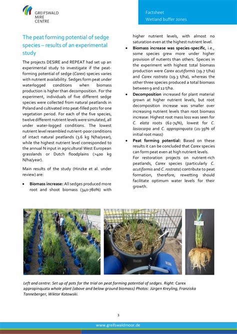 Pdf Gmc Factsheet Wetland Buffer Zones Greifswald Moor Dokumentips