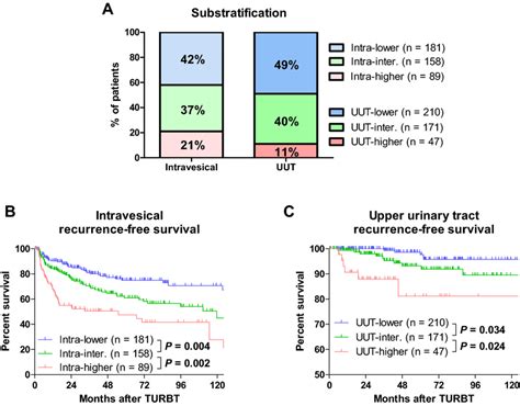 Substratifications And Oncological Outcomes Substratifications Of Download Scientific Diagram