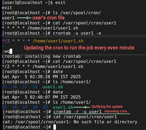 The Cron On Linux Explained With Examples