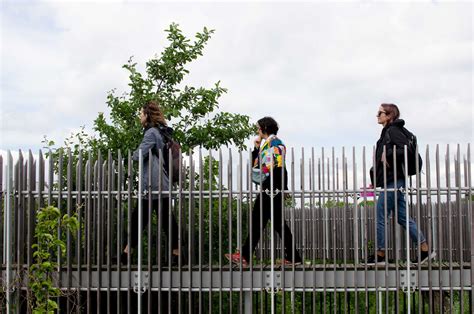 Discover “buddy Bites” Where Food Sharing Meets Human Connections