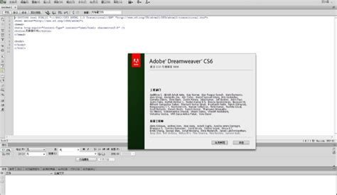 Adobe Dreamweaver CS 绿色版软件截图预览 当易网