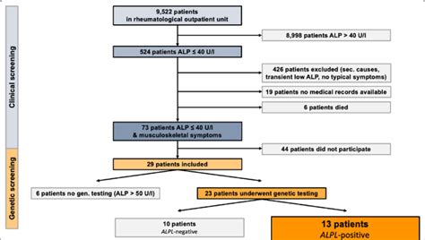 Study Design Alp Alkaline Phosphatase Alpl Positive Genetically