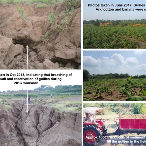 Soil Code Description And Swat Code Used In The Model Download