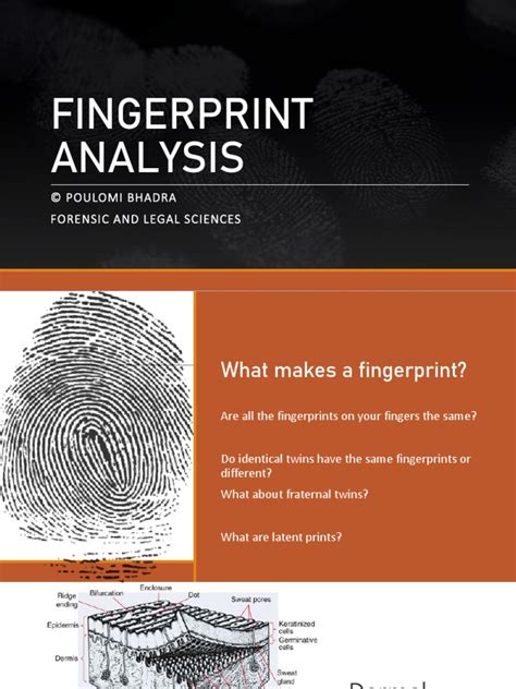 Fingerprint Analysis Pdf Pdf Fingerprint Chemistry