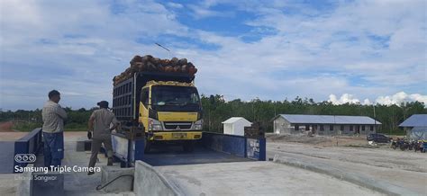 Pemasangan Jembatan Timbang Di Perusahaan Kelapa Sawit PT Surya Inti