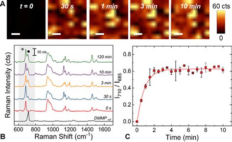 Plasmonic Mof Thin Films With Raman Internal Standard For Fast And Ultrasensitive Sers Detection