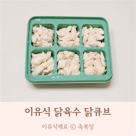 이유식 닭육수 닭안심 유아식 큐브 한 번에 손질 보관 방법 네이버 블로그
