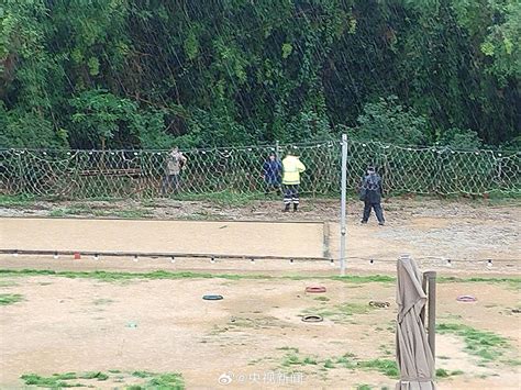 养殖场围墙被暴雨冲垮 广东4条出逃鳄鱼已找回3条 搜狐大视野 搜狐新闻