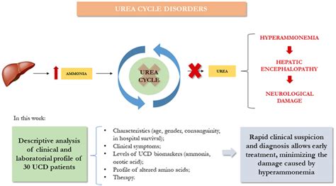 International Journal Of Developmental Neuroscience Vol 82 No 8
