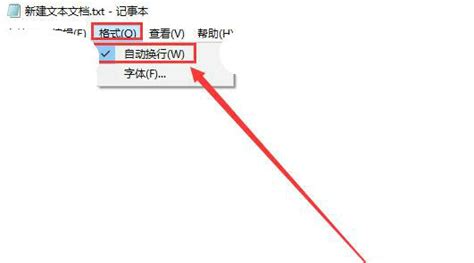 Win10记事本怎么换行 Win10记事本换行方法 系统家园