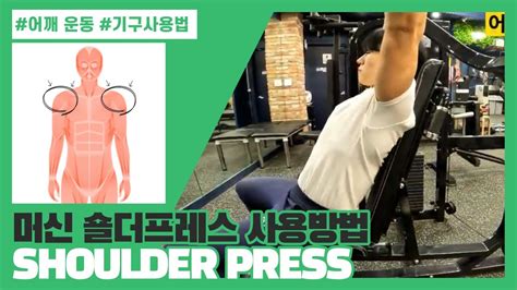 머신 숄더 프레스어깨전면더보기 설명 양천구 목동pt Youtube