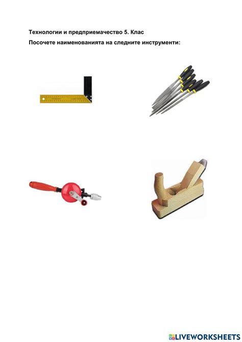 1689293 Технологии и предприемачество Марияна