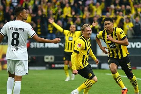 بوروسيا دورتموند يهزم نيوكاسل في دوري أبطال أوروبا المصري اليوم