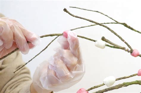 インテリアとしてもかわいい 小正月を彩る「餅花」を作る