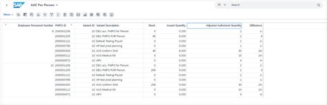 Defense And Security In Sap S4hana Cloud Private E Sap Community