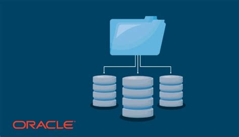 Dba Administración Base De Datos Oracle