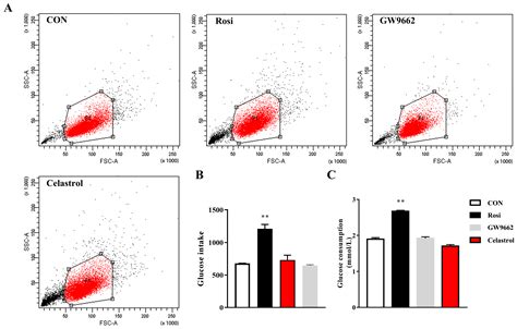 Metabolites Free Full Text Celastrol Stabilizes Glycolipid