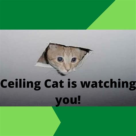 Jamie Collins On Linkedin Excel Exceltips Excelskills Acccounting