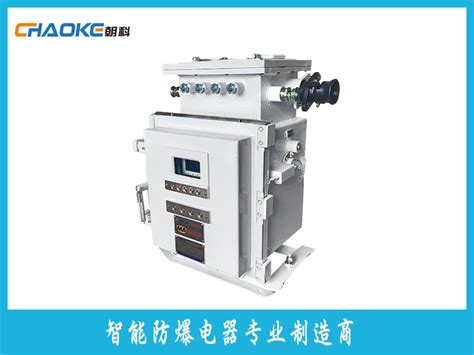 Zjz 401140660m 矿用隔爆兼本质安全型照明信号综合保护装置 浙江朝科电器科技有限公司