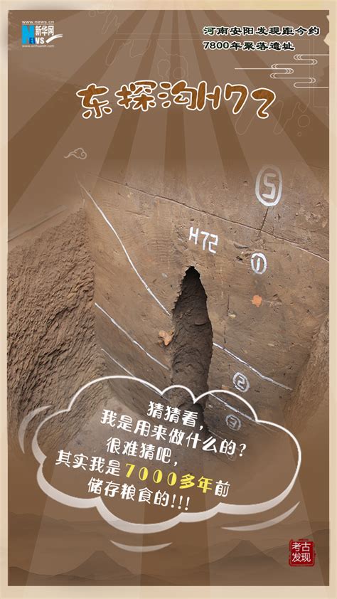 如果文物会说话 河南安阳发现距今约7800年聚落遗址 极目新闻