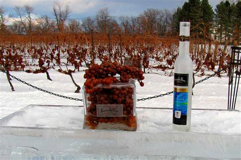 An Intro to Icewine, a Wine Crafted From Temperature Extremes - InsideHook