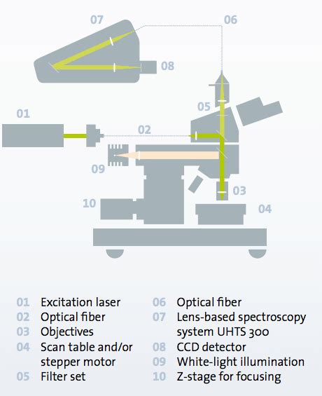Schema Of A Raman Microscope From Witec Uhts 300 28 Download