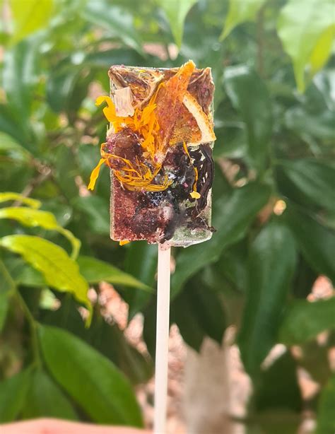 לימון מתובל מלבן עידן הפרי