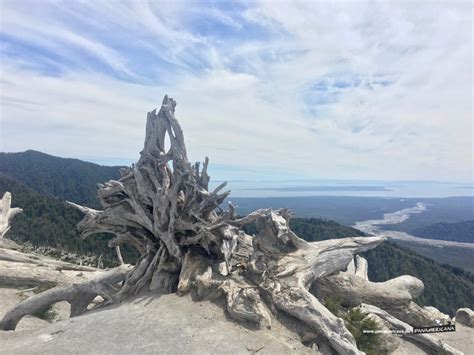 Vulkan Chaitén Unser Kleiner Aufstieg Panamericana