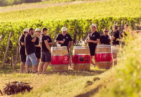 Vignerons De Tutiac Tout Bordeaux