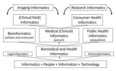Hiquips Introduction To Biomedical And Health Informatics And Its Role