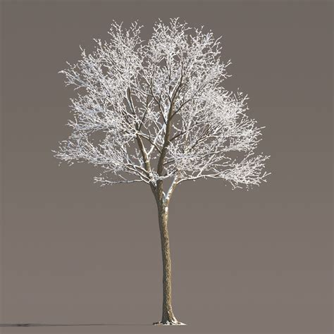 Seasonal Trees Archmodels Vol 258 Evermotion