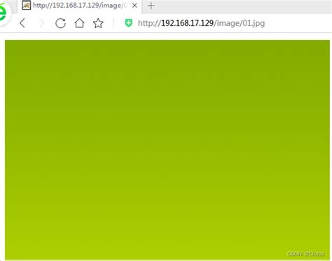 Nginx Nginx Csdn