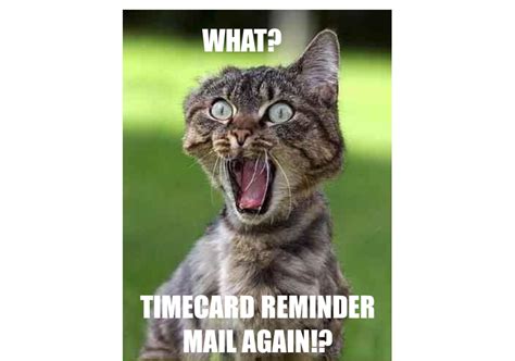 Timesheet Reminder Meme Summer