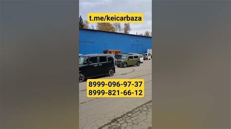 НОЯБРЬ ПРИВОЗ АВТО ИЗ ЯПОНИИ #авто #рекомендации #auto #кейкар #jdm # ...