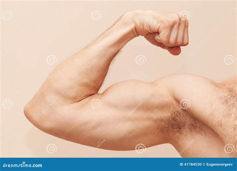 Sterk Mannelijk Wapen Met Bicepsen Stock Foto Image Of Kaukasisch Kruipen