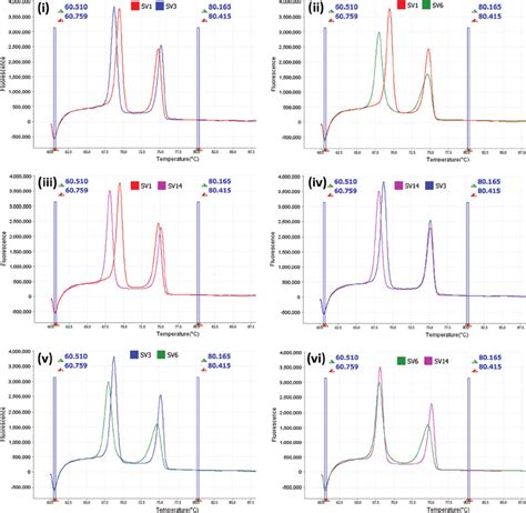 Derivative High Resolution Melt Curves Comparing Individual U Parvum