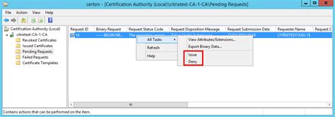 Install And Configure Federated Authentication Service