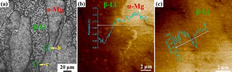 Local potential distribution at b the α Mg β Li interface and c