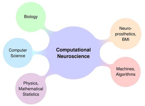 On The Efficiency Of Neuronal Information Processing Lubomir Kostal