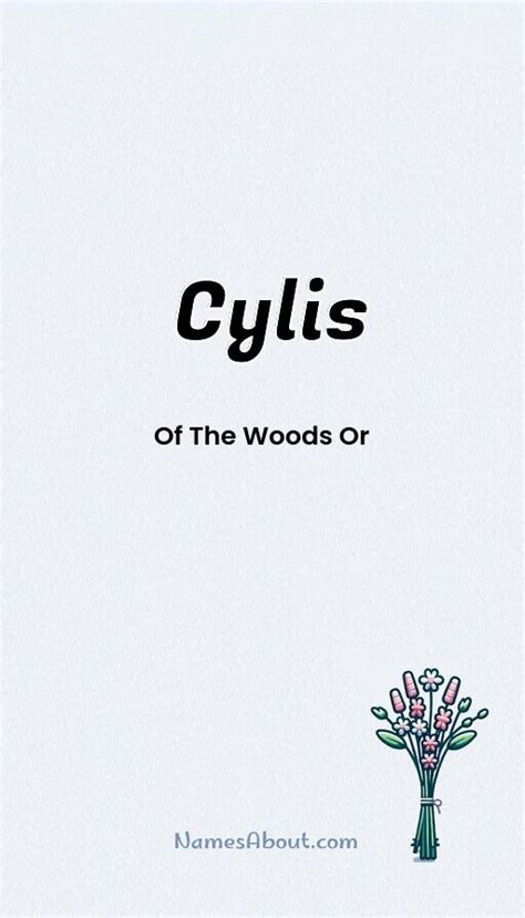 Cylis Name Meaning And Origins Nicknames Sibling Ideas
