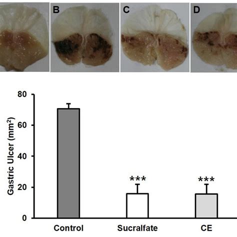 The Protective Effects Of Carotenoid Extract Ce From Orange Fles Download Scientific Diagram