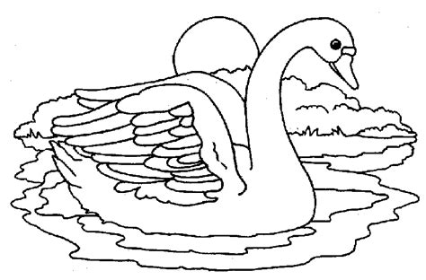 Dessins De Cygne à Colorier