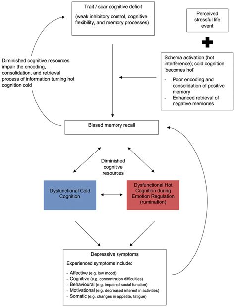 Model Of The Interaction Between Cold Cognitive Deficits And The Hot
