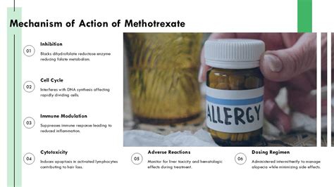 Alopecia Methotrexate Ppt Mockup Acp Ppt Slide