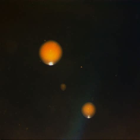 Rhodococcus Rhodochrous Algae Bank Colección De Cultivos